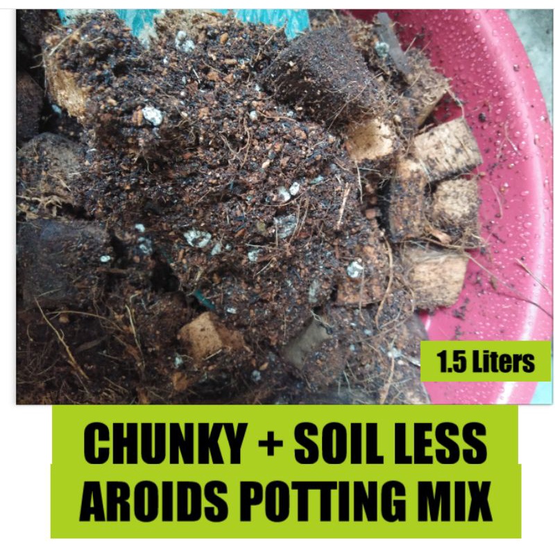 AROIDS POTTING MIX CHUNKY,SOIL LESS 350 TO 400 GRAMS FOR MONSTERA ...