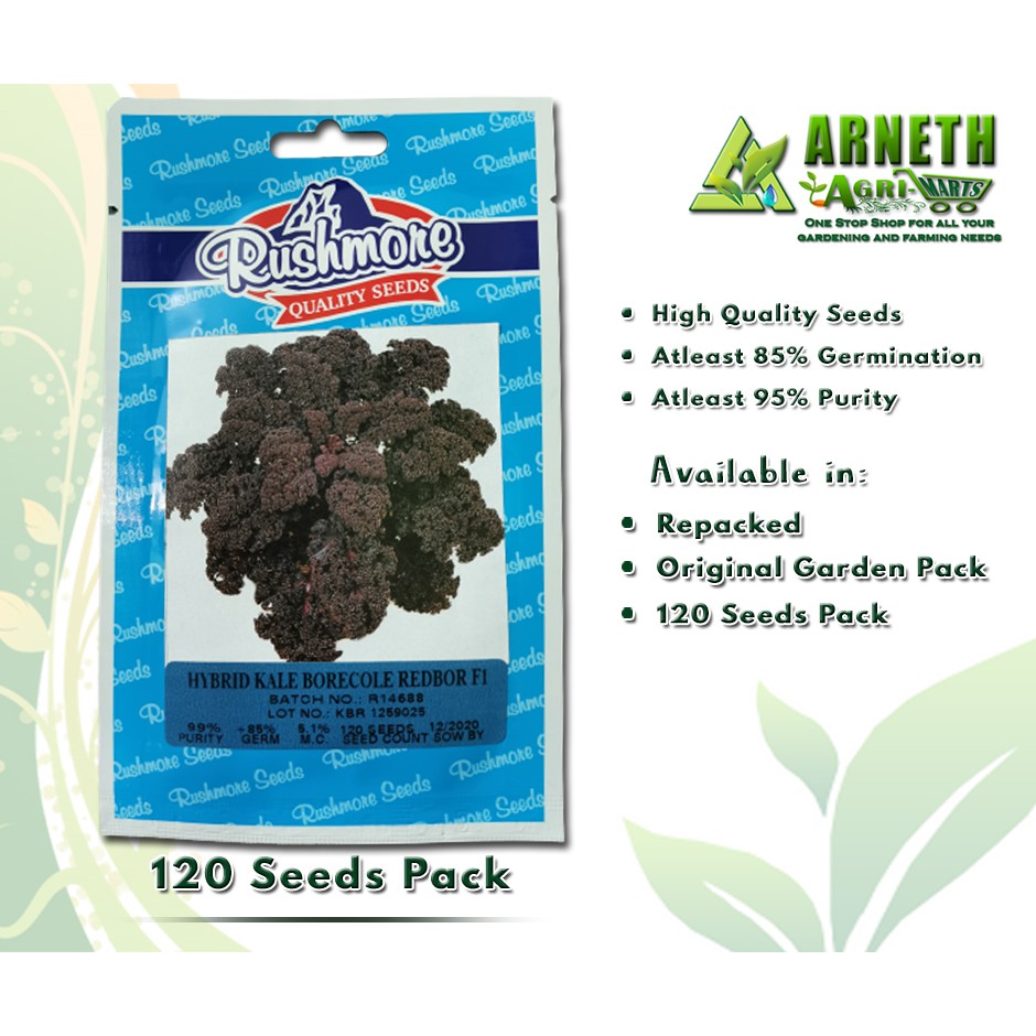 HYBRID KALE BORECOLE REDBOR F1 BY RUSHMORE | Shopee Philippines