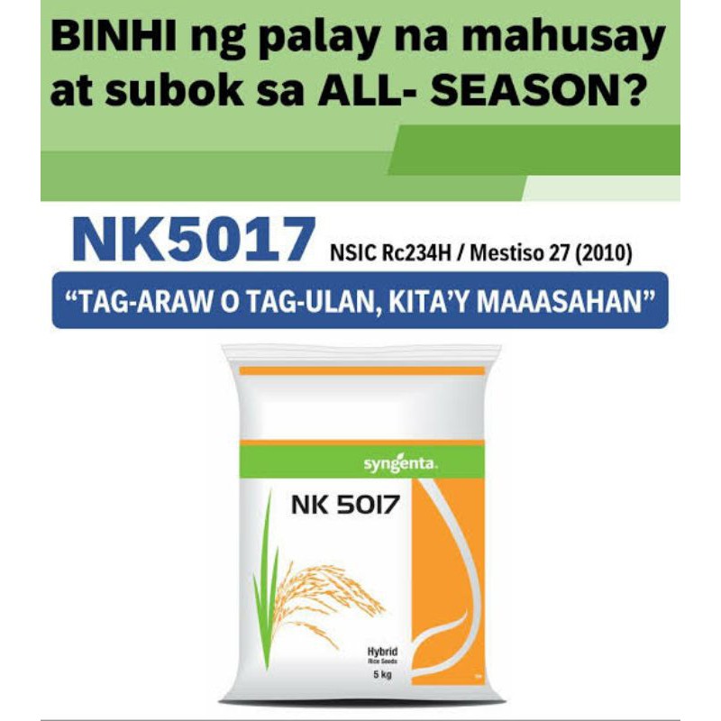 Syngenta NK 5017 Hybrid Rice (3kg) | Shopee Philippines