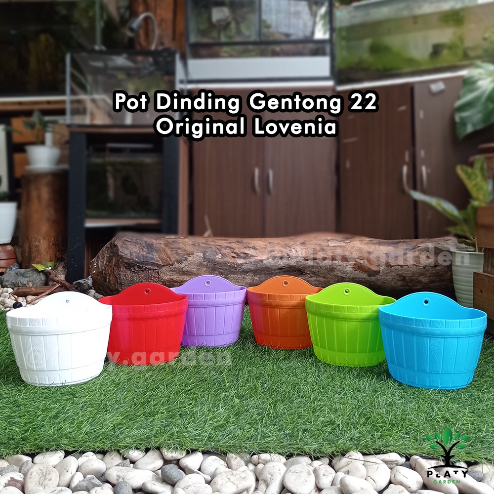 Gentong Wall Pot 22 Colors Lovenia Brand | Shopee Philippines