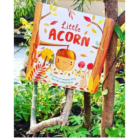 Little Acorn (board book) | Shopee Philippines