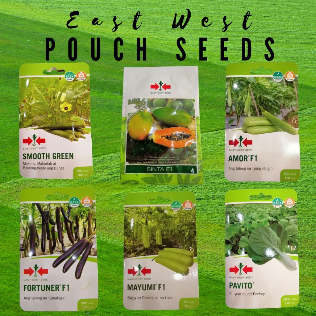 East West Pouch TALONG, PAPAYA, OKRA. and UPO Vegetable Seeds | Shopee ...