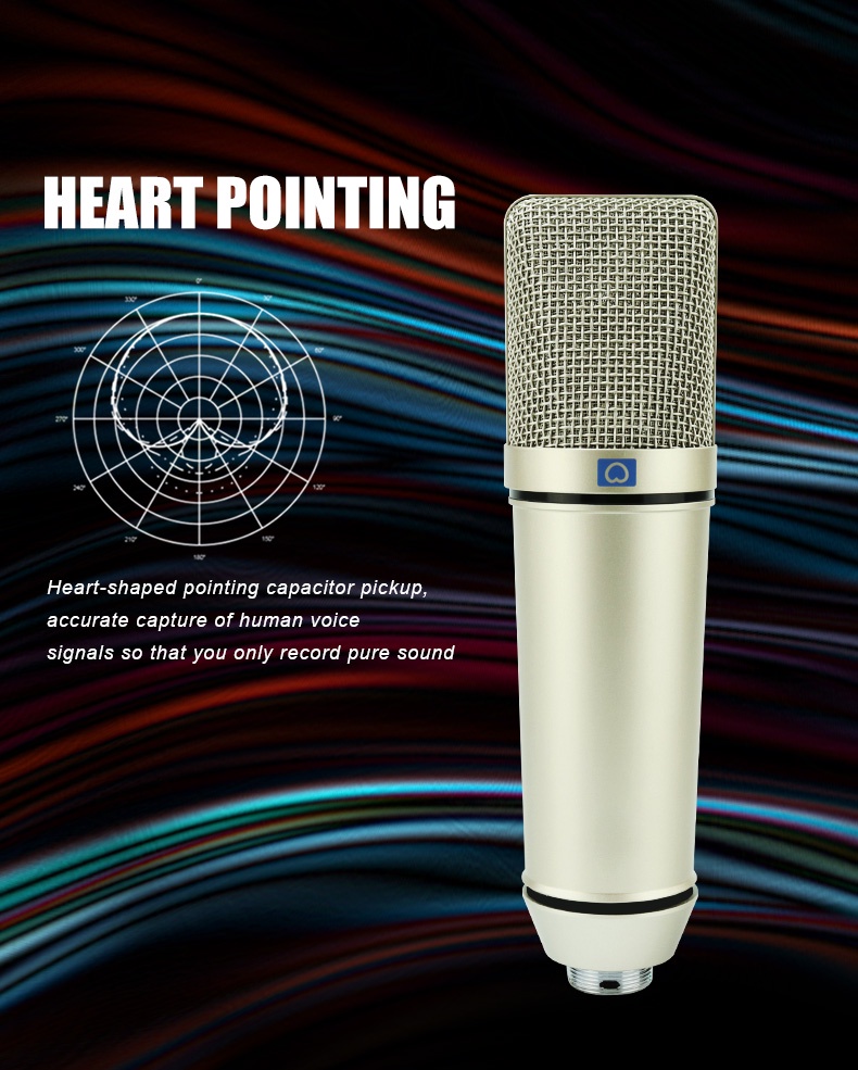 RAYHAYES Condenser microphone for professional studio Singer/microphone ...