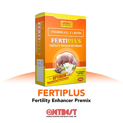 Fertiplus: Fertility Enhancer Premix | Shopee Philippines