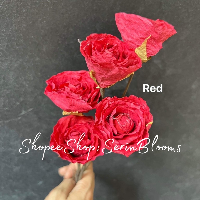 Fossilized Rose (Petite)sold per piece 4-5cm | Shopee Philippines