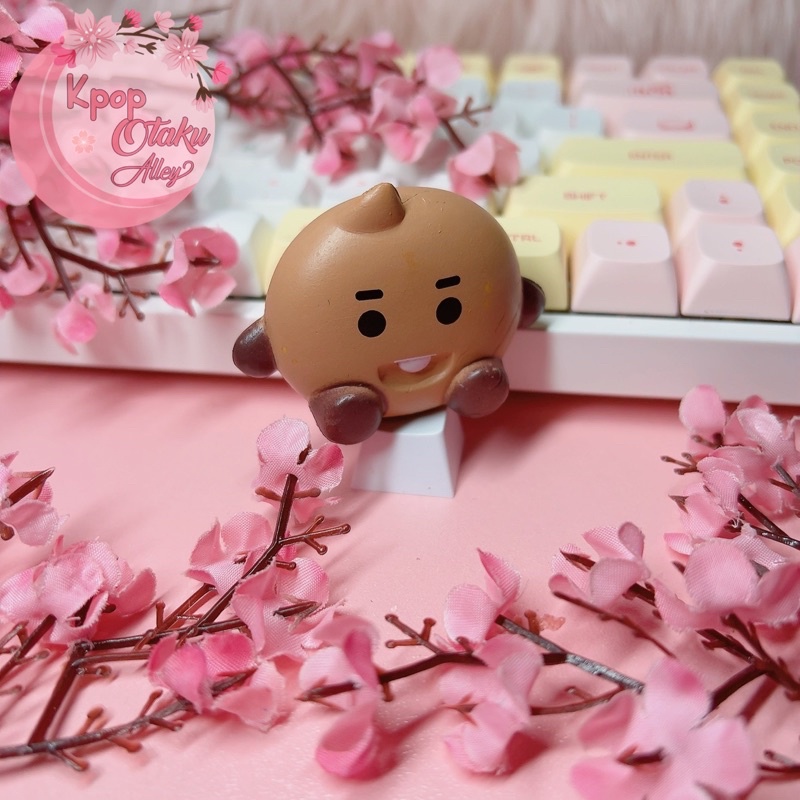 BT21 Artisan Keycaps | Kpop Otaku Alley Keycaps | Shopee Philippines