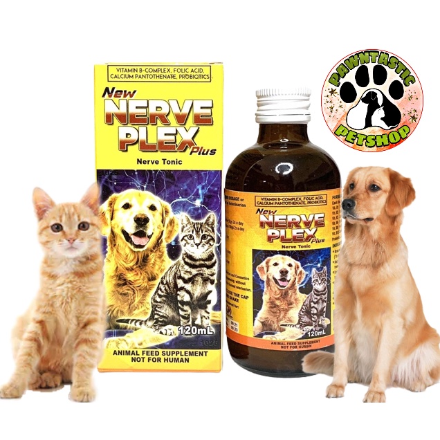 Nerve Plex Plus Nerve Tonic 120mL | Shopee Philippines