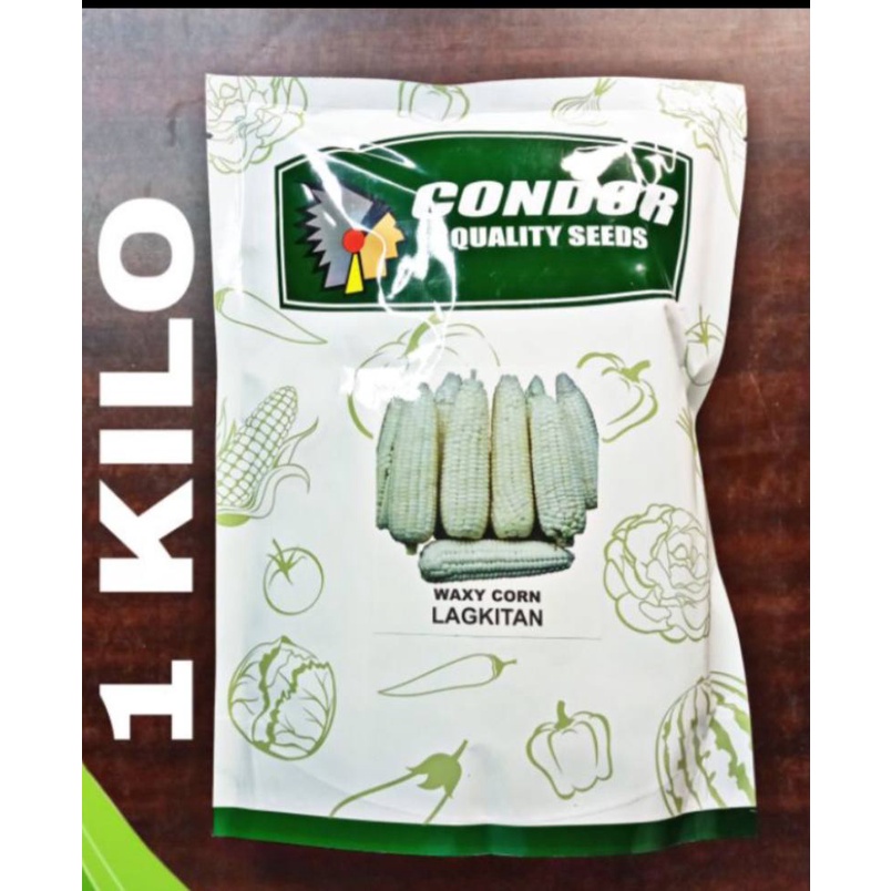 CONDOR SEEDS -WAXY CORN SEEDS - LAGKITAN CORN SEEDS -1 KILO | Shopee ...