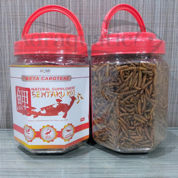 Sentaku RED MAGGOT 100GR MAGOT Feed PELLET KOI Fish Food Arowana ...