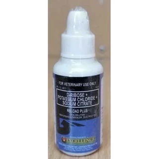 Shop reload plus for Sale on Shopee Philippines