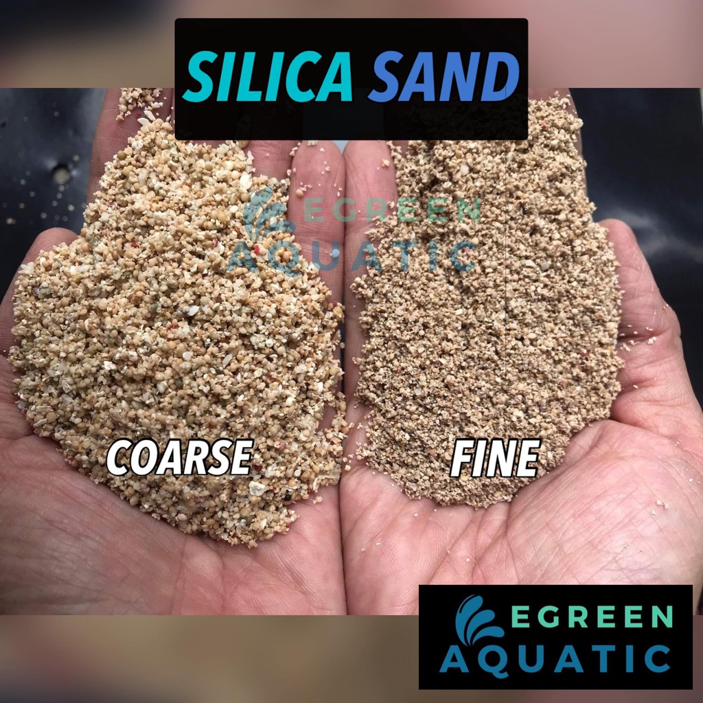Silica Sand - 1kilo | Aquarium Fine Lava White Sand | Shopee Philippines