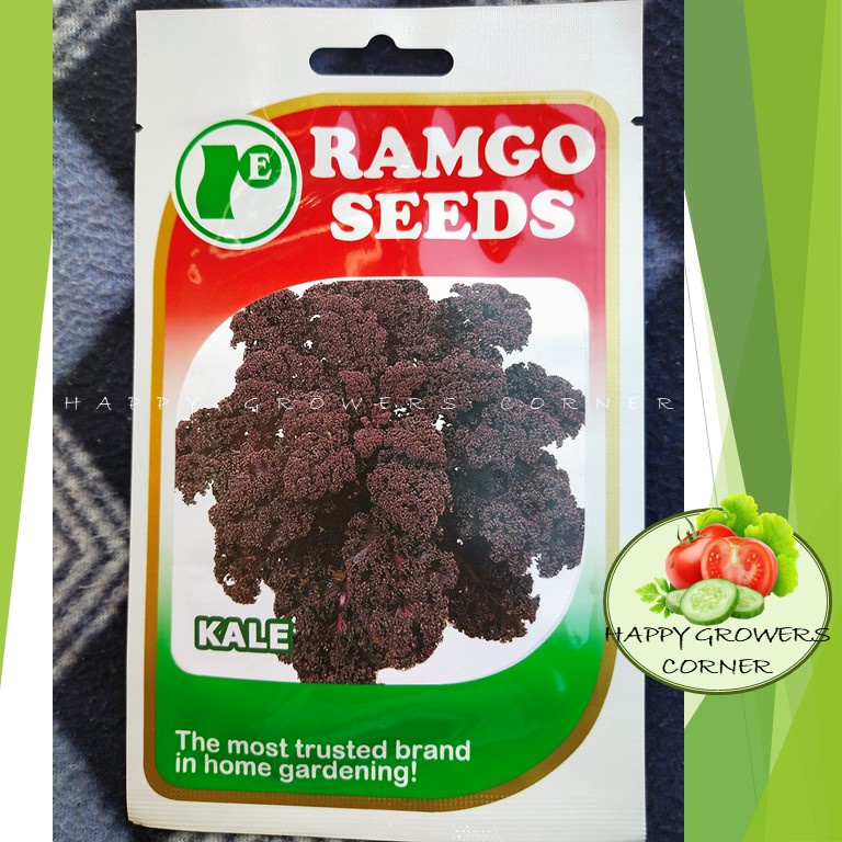 KALE HYBRID RED BORECOLE REDBOR (75 SEEDS) by RAMGO SEEDS | Shopee ...