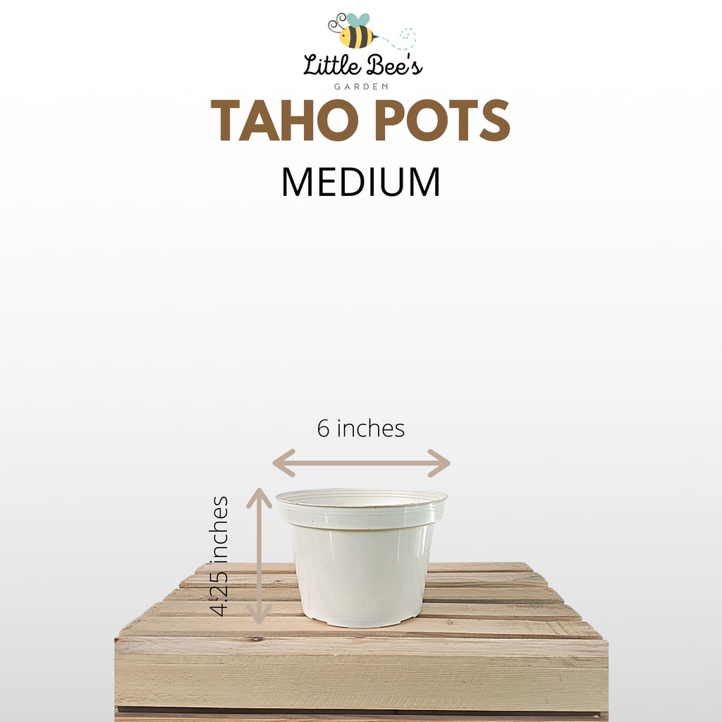 Taho Affordable Pots [Little Bee's Garden] | Shopee Philippines