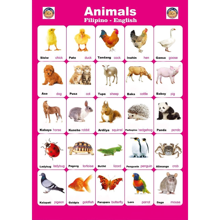 58*42cm Filipino - English Educational Wall Charts for Kids Alphabet ...