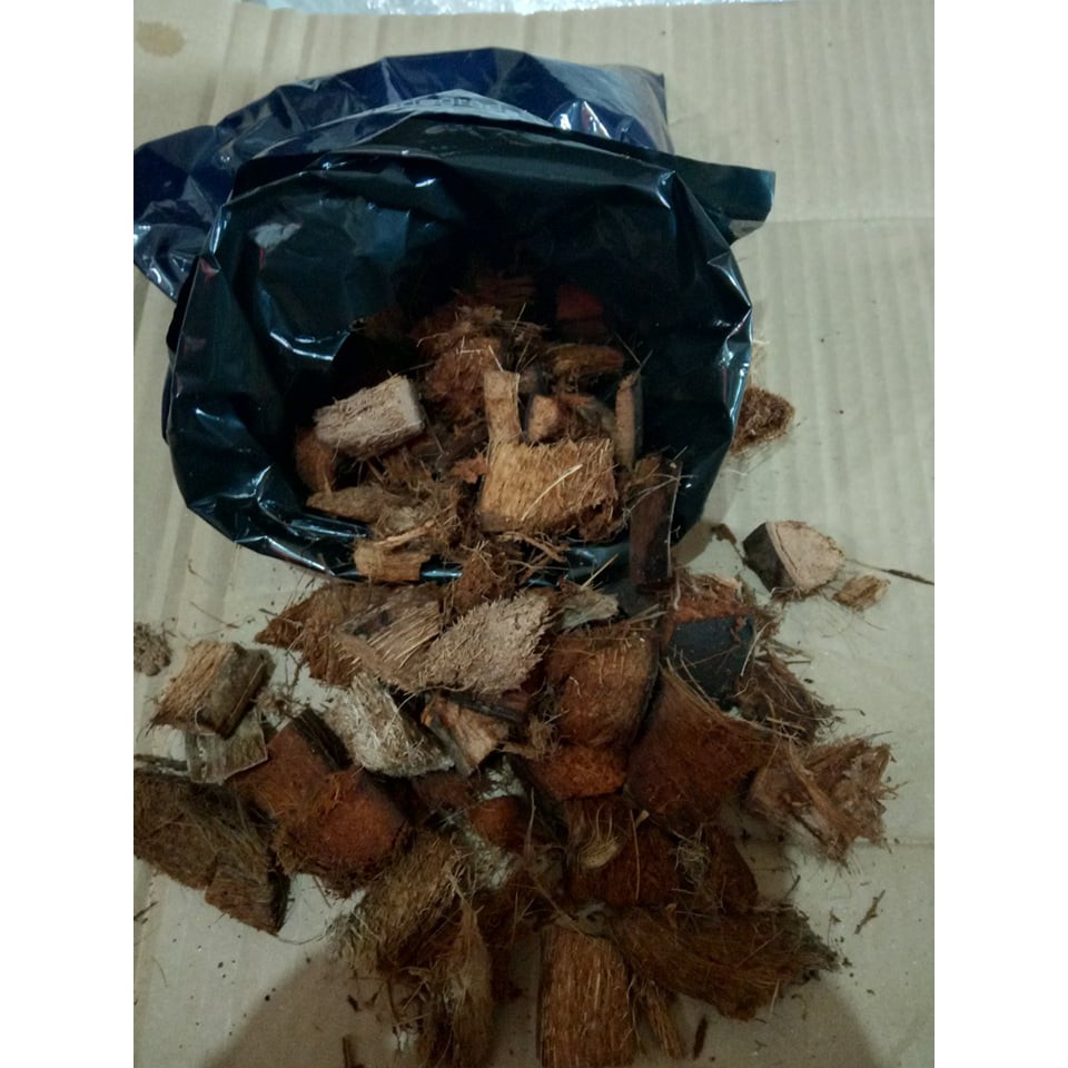 Coco cubes for plants per pack | Shopee Philippines