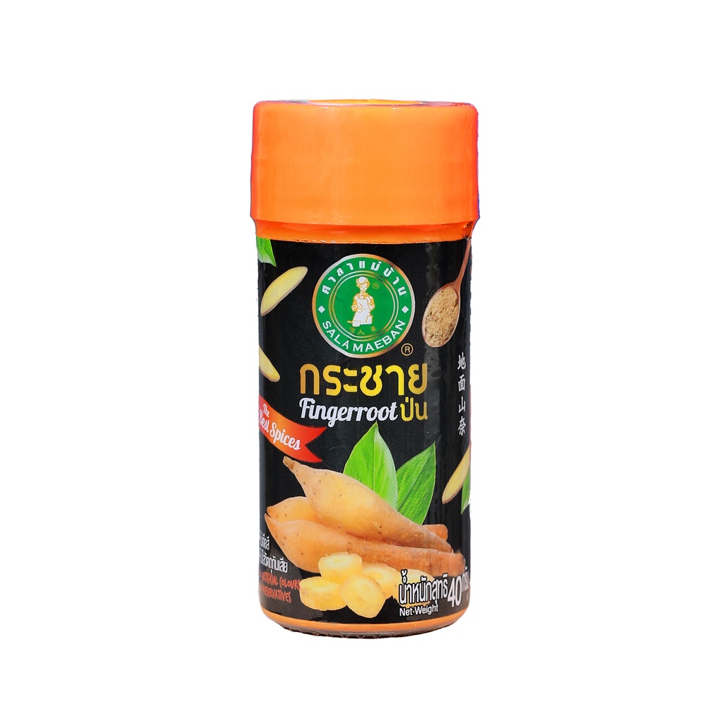 Ground Ginger Salai Brand Fingerroot Powder 40 g | Shopee Philippines