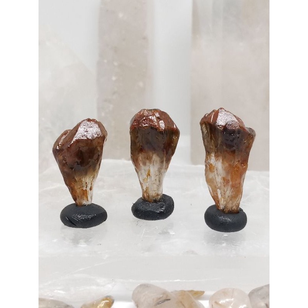 Rare Red Cap Smokey Amethyst Tooth with Hematite Inclusions from Congo ...