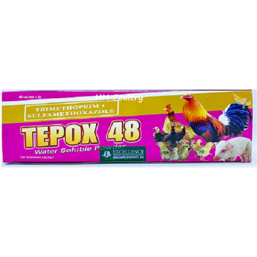 TEPOX ONE BOX 5g (48 SACHETS) | Shopee Philippines