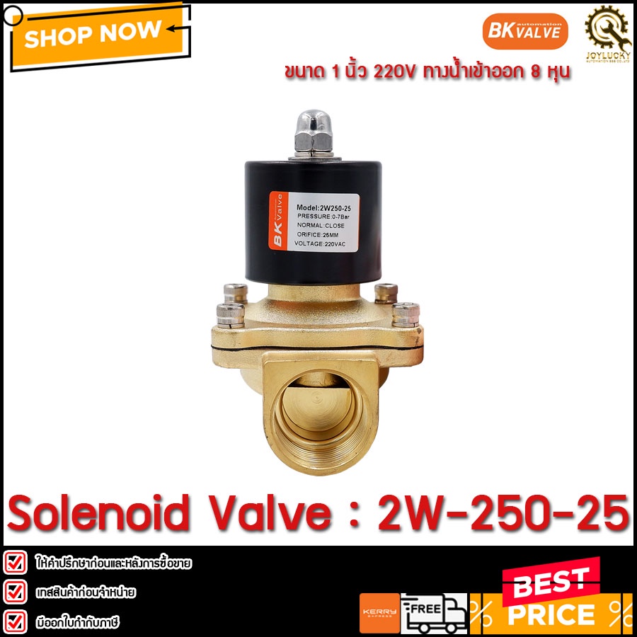 Solenoid Valve BK 2W-250-25 220v**TH | Shopee Philippines