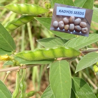 kadyos - Best Prices and Online Promos - Jun 2024 | Shopee Philippines