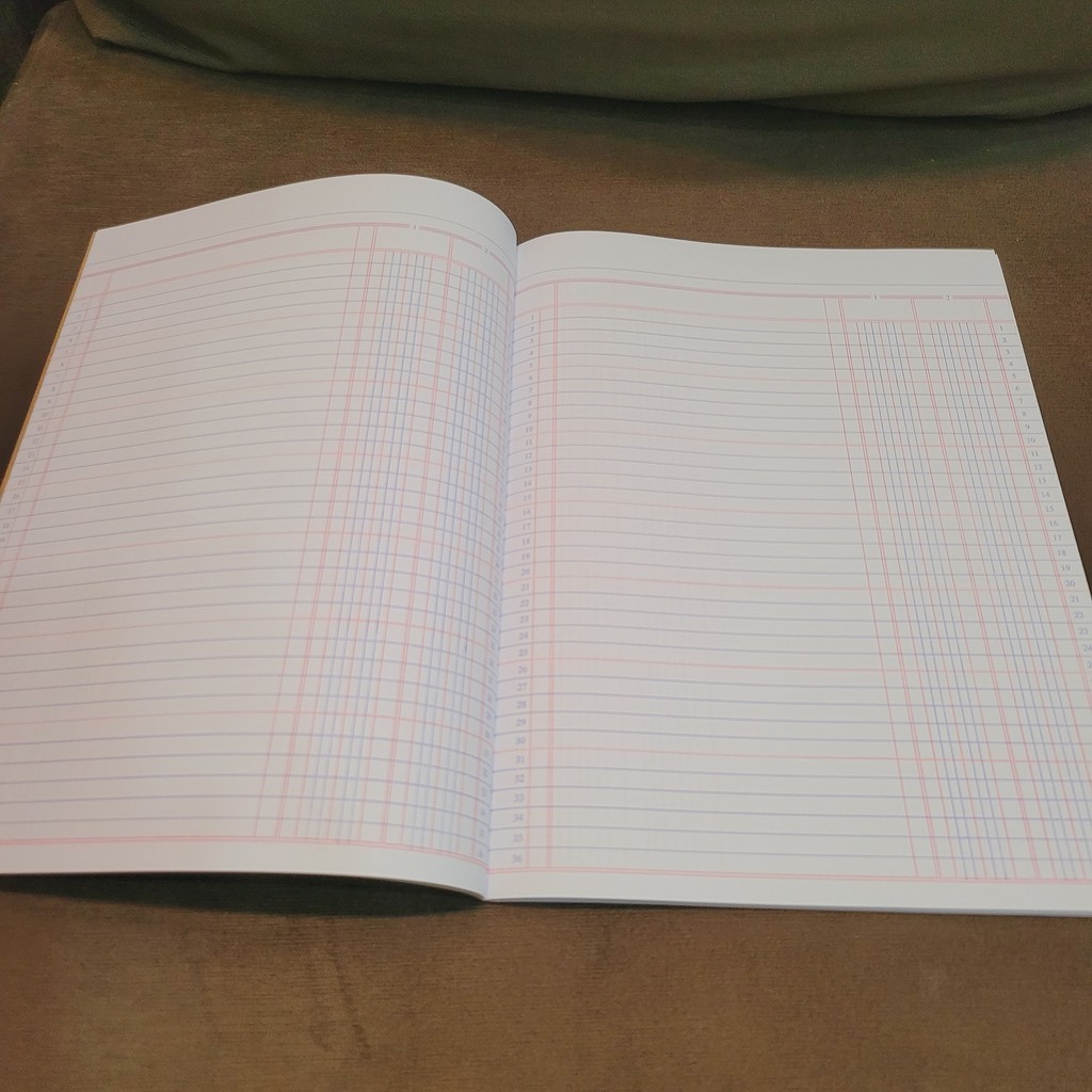 Veco Bir Bookkeeping Ledger Journal, Ledger, Cash, Record, Sales ...