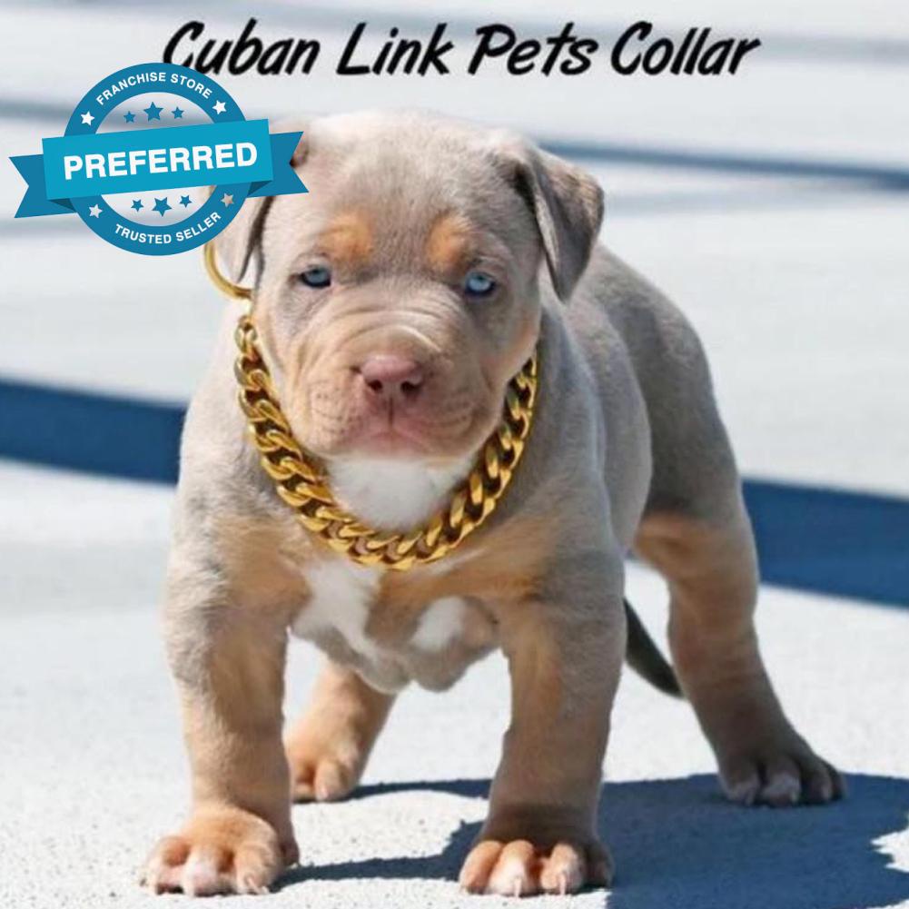 Pet Necklace Collar Thick Gold Chain Plated Plastic Adjustable For ...