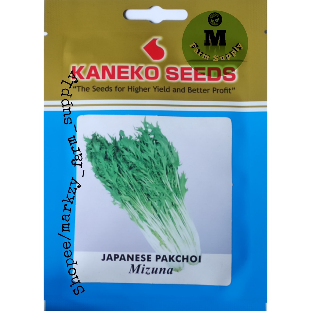 Japanese Pakchoi (Mizuna Lettuce / Spider Mustard) Kaneko High Quality ...