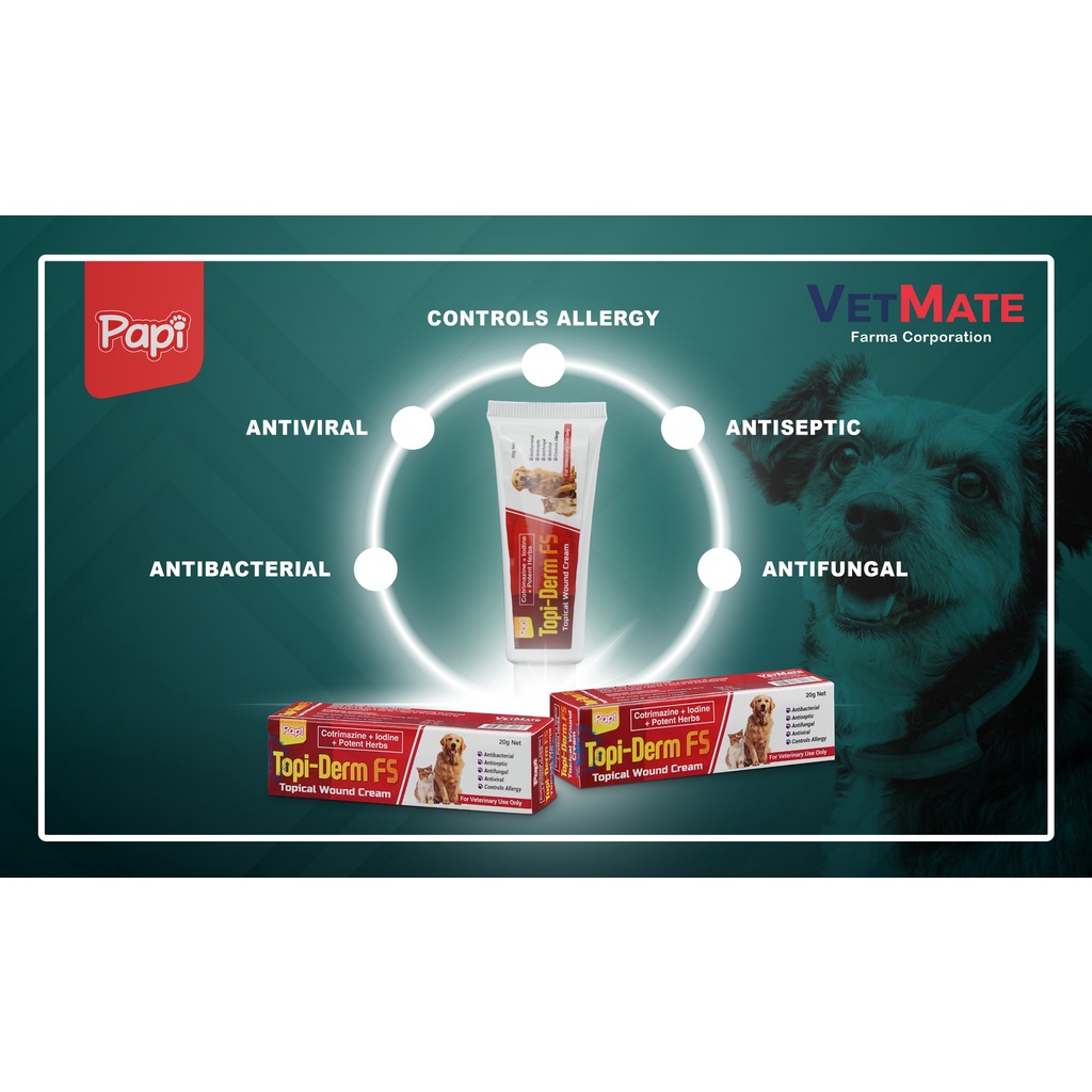 Papi Topi-Derm FS Topical Wound Cream (20g) | Shopee Philippines