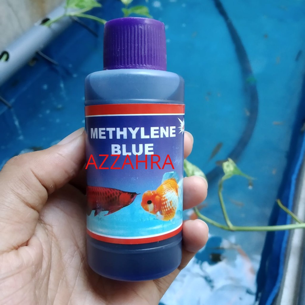 Methylene Blue - Blue Medicine - Ornamental Fish Medicine - Anti ...