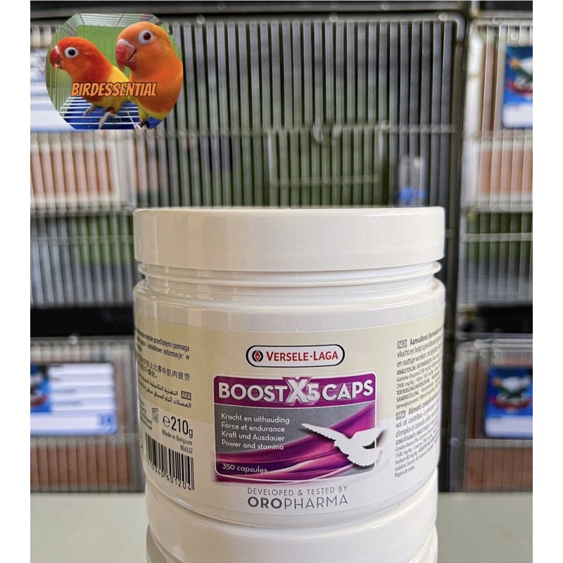 Boost X5 Caps Versele-Laga | Shopee Philippines