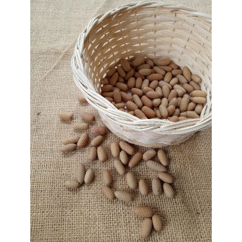Capsule Rattan Seeds For Dowry rustic Dowry Material 1pack Contents 10 ...
