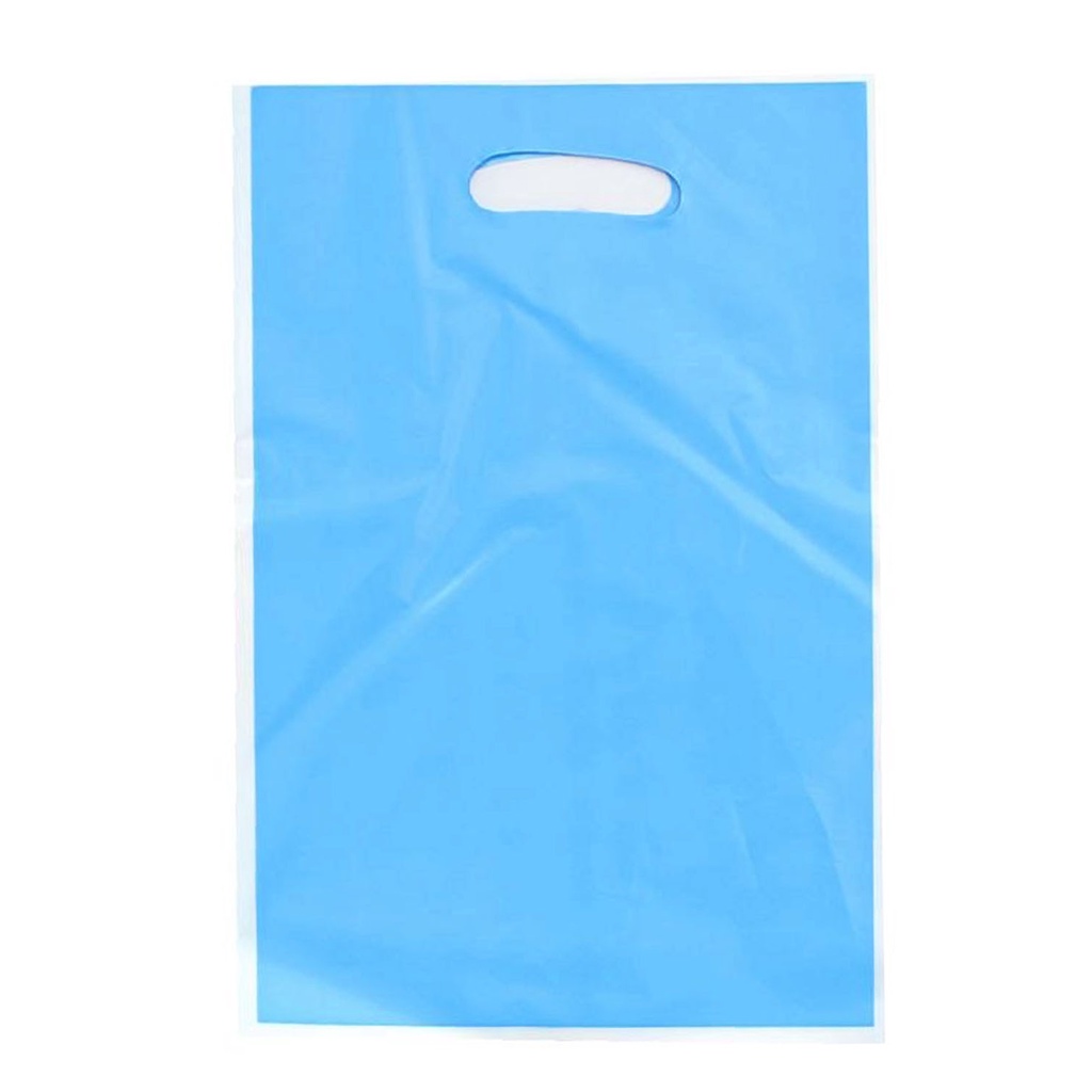 Light Blue Plastic Lootbag (17x25cm by10 pieces) Medium Size ...