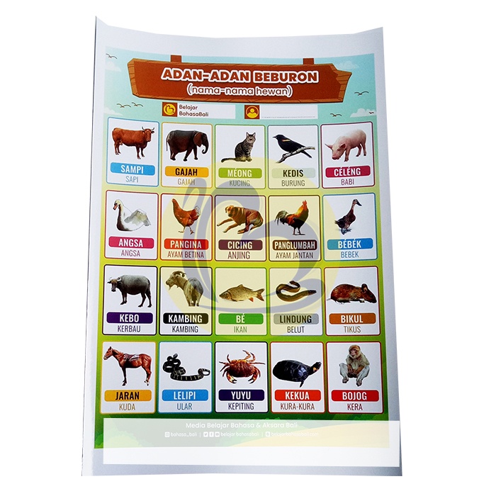 Animal Name Poster/Adan beburon Bali with Balinese script | Shopee ...