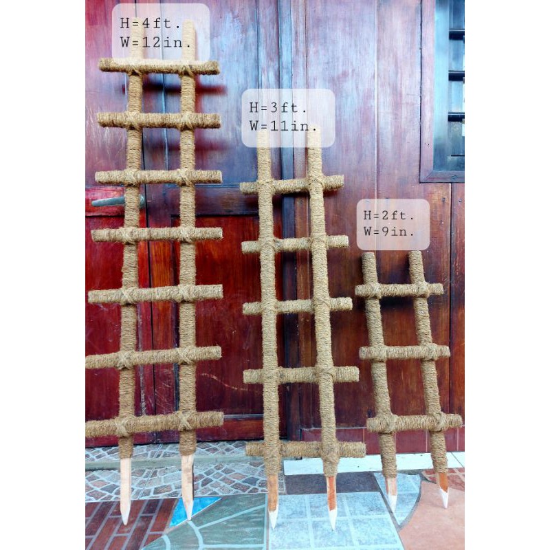 Coco Ladder 2FT/ Trellis/ Coco Pole (Mahogany Wood and Coco Fiber ...