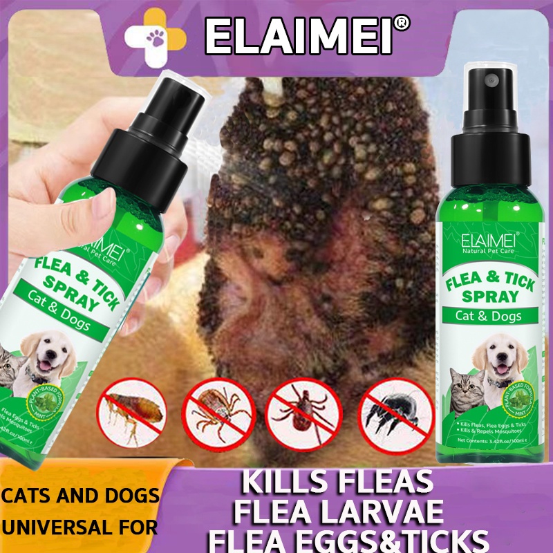 ELAIMEI Dogs Pet insect repellent spray anti-insect repellent external ...
