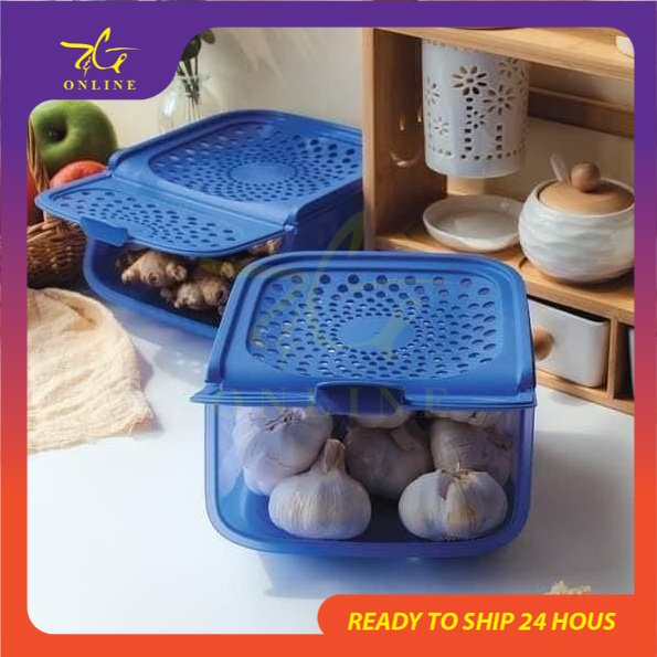 Tupperware 2.3L Garlic N All Keeper Bekas Potato Onion Ginger Gralic ...