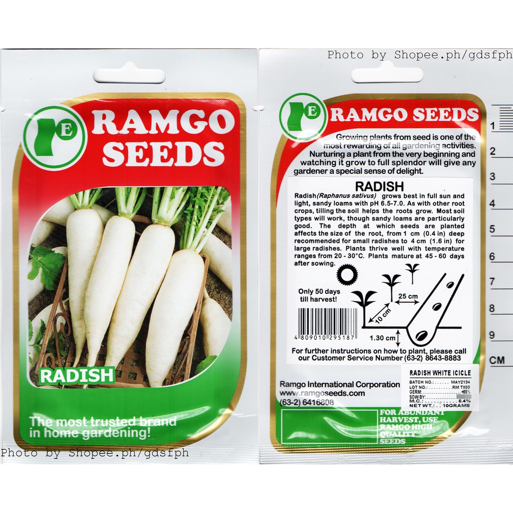 Ramgo RPO Seeds Radish White Icicle 10g (Original Pack) GDSFPH_S4 ...