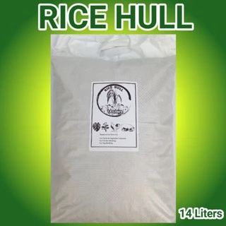 Shop rice 1 sack for Sale on Shopee Philippines