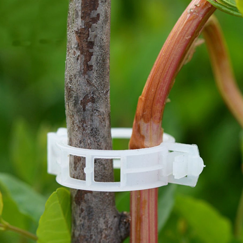 50Pcs/Lot Tomato Mulberry crops garden Supports plastic Clips Connects ...