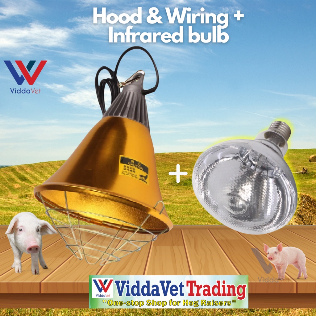 Davsaic 1 Set Golden color heat lamp shade + infrared heat bulb brooder ...