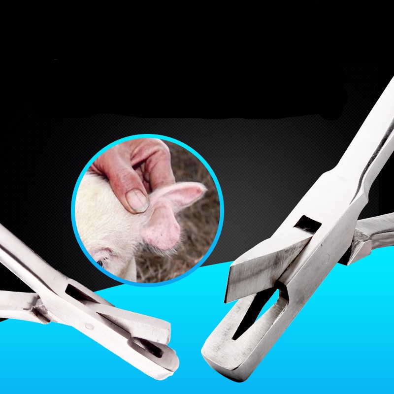 High Quality Stainless Piglet Ear Notcher U/V Shaped Ear Tong Plier ...