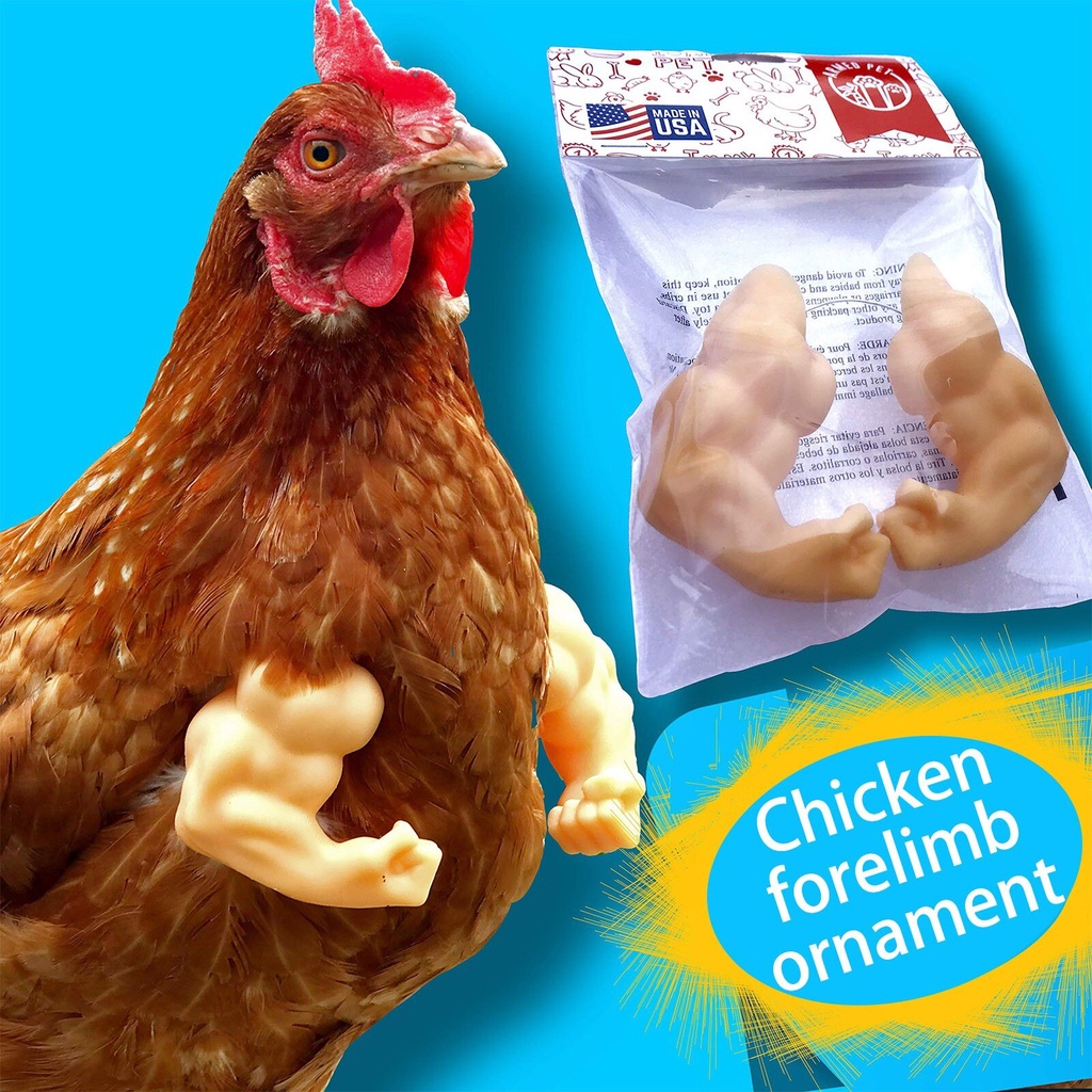 Chicken Forelimb Decoration Chicken Arm Toy Chicken Arm Mold Decoration ...