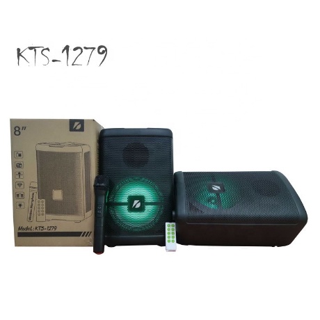KTS-1279 8 Inch Karaoke Wireless Bluetooth Speaker FREE wireless ...