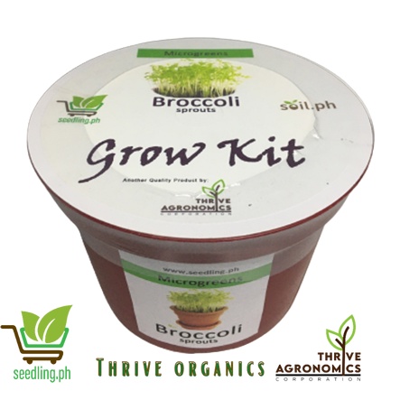 Broccoli Sprout Microgreens Grow Kit Seedling Kit Starter Kit Planting ...
