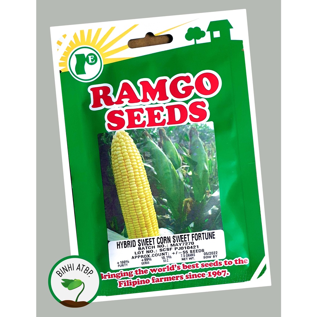 Ramgo Hybrid Sweet Corn Sweet Fortune Seeds | Shopee Philippines