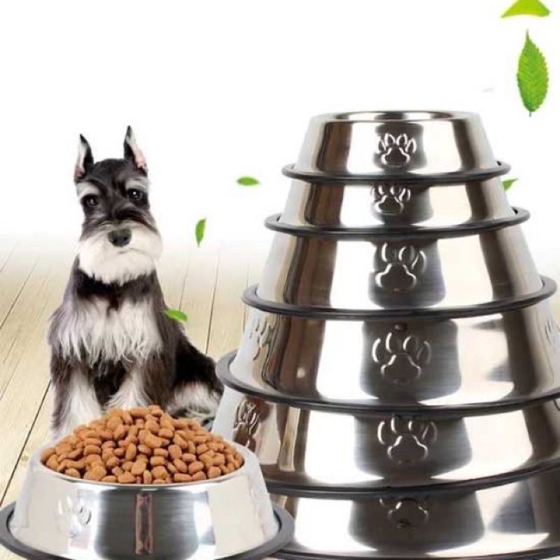 Elevate Pet's Dining Experience with Our High-Quality Stainless Steel ...