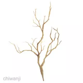 twigs - Best Prices and Online Promos - Feb 2026 | Shopee Philippines