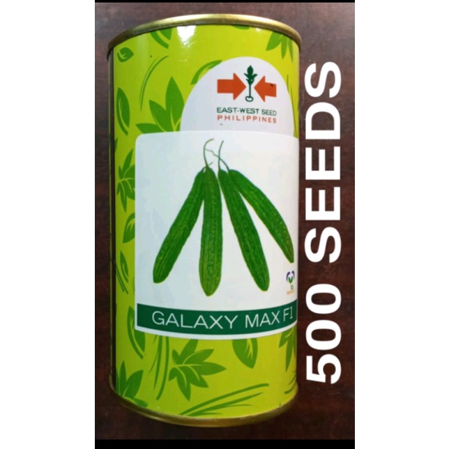 GALAXY MAX F1 HYBRID AMPALAYA SEEDS 500 SEEDS (EAST WEST SEEDS ...