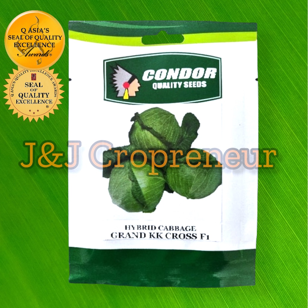 GRAND KK CROSS HYBRID CABBAGE F1 ( 1 GRAM PACK ) BY CONDOR SEEDS ...