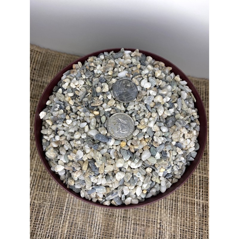 Pebbles Plants/Aquarium - Assorted, Black, Boracay, White Selected ...